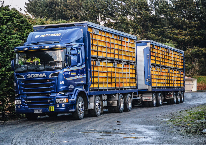 Alderson Poultry Transport Ltd